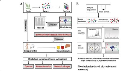 Work Flow For The Application Of Metabolomics In Analysis Of Hms A