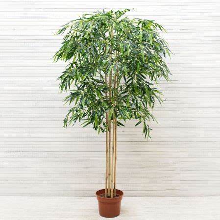 Искусственный бамбук — купить бамбук для декора интерьера в горшке в ...