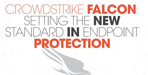 Crowdstrike Falcon Setting The New Standard In Endpoint Protection