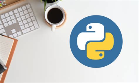 python programming basic