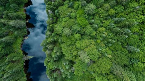 Essential Yokogawa Modules For Optimized Industrial Automation New Gen Automation Limited