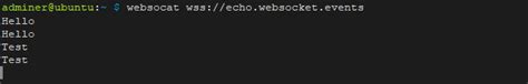 install websocat on ubuntu 20 04 lindevs