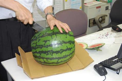 ゴンちゃんスイカ解体SHOW イエステーション岡山東店不動産営業事務ブログ