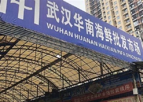 武漢肺炎：世衞專家確認 出現人傳人及醫務人員感染