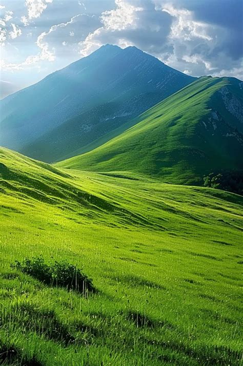 Ai数字艺术草地草坪草坡图片 众图网 花瓣网