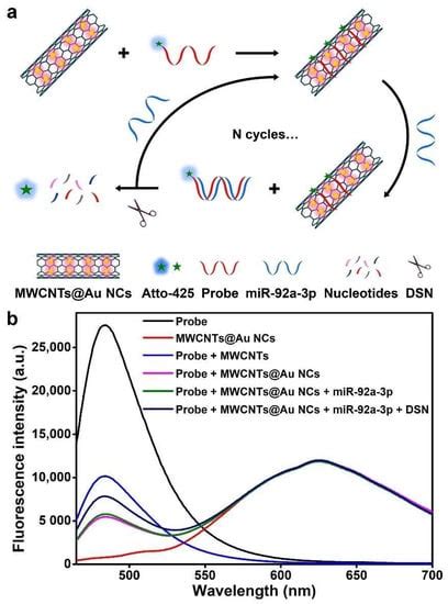 Biosensors An Open Access Journal From Mdpi