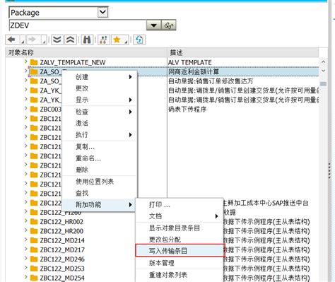 Abap基础知识 传输请求一 记录 Csdn博客
