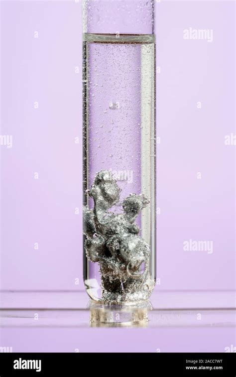 Zinc Reacting With Sulphuric Acid This Reaction Leads To The Formation Of Zinc Sulphate And