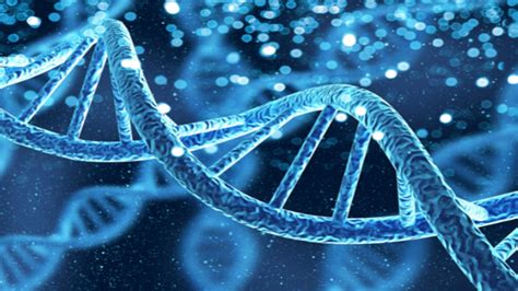 Spatial Genomics Market Analysis Size Share And Forecast