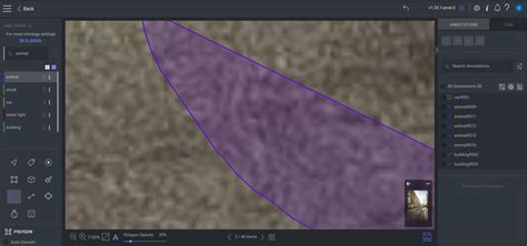 Polygon Annotation Tools