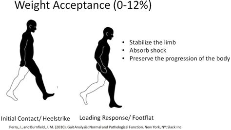 Engineering At Alberta Courses Gait Analysis