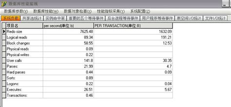 Oracle数据库性能监视小软件oracle数据库监控、性能检查小工具opct Csdn博客