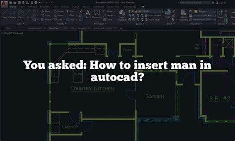 You Asked How To Insert Man In Autocad Caddikt