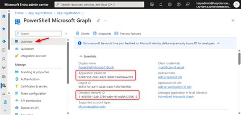 How To Use Connect Mggraph All Options — Lazyadmin