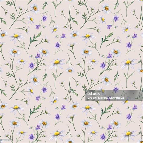 데이지와 블루벨 꽃은 베이지 배경에 매끄러운 패턴을 가지고 있습니다 손으로 장식 된 카모마일 야생화의 수채화 그림 직물 벽지 엽서에 인쇄하기 위한 장식품 0명에 대한 스톡