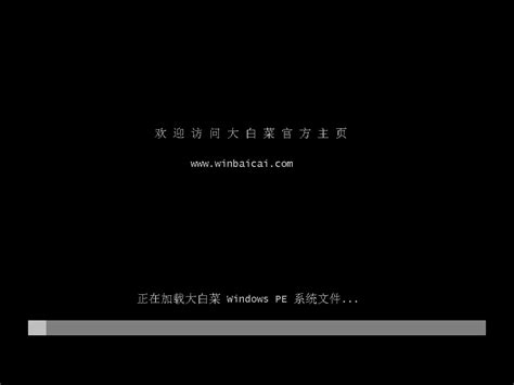 大白菜重装系统步骤图大白菜一键重装系统详细教程 多图 大白菜u盘启动
