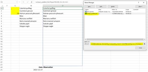 Wim‘s Excel Tm1 And Soccer Site