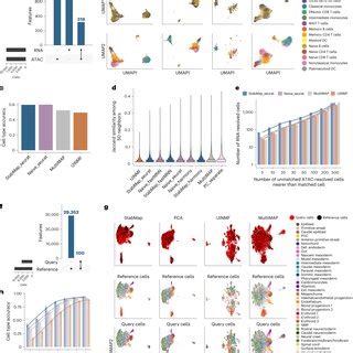 PDF Stabilized Mosaic Single Cell Data Integration Using Unshared Features