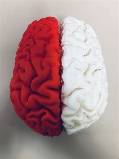 Can We Identify Sex Using FMRI