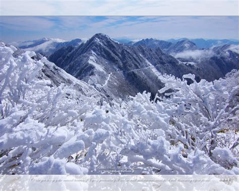 山森の壁紙 石鎚山系冬景色 2ネイチャーフォト壁紙館