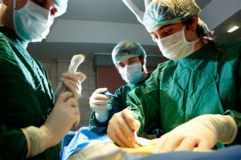 Organ Transplants And Cancer Risk National Institutes Of Health Nih