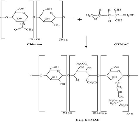 Physically Cross Linked Pva Quaternized Chitosan Ag Nps Composite Hydrogel Membranes For