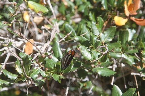 加州盐点州立公园