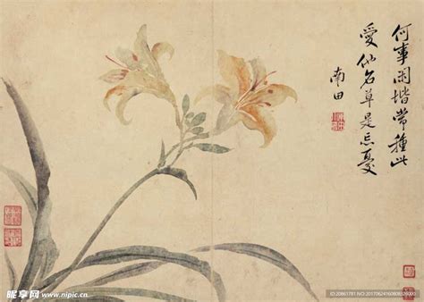 华嵒 花鸟草虫设计图 绘画书法 文化艺术 设计图库 昵图网