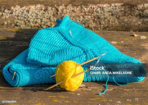 오래된 나무 배경에 니트 웨어와 꽃 아름다운 질감 흐린 배경 가을사진 0명에 대한 스톡 사진 및 기타 이미지 0명 가을 꽃 식물 Istock