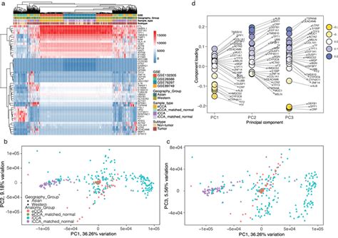 Clustering By Pretty Heatmaps And Pca A A Heatmap Hierarchical