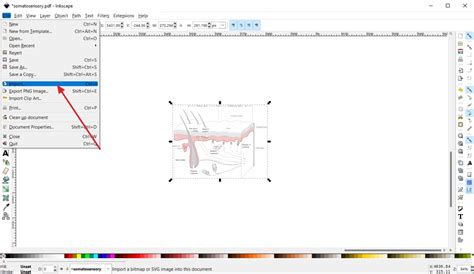 Learn How To Convert PDF To Vector Format Detailed Guide
