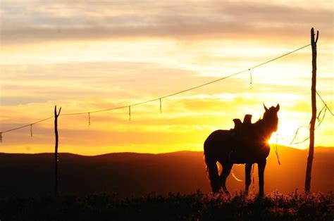 Аймгийн хурц арслан Н Өсөхбаяр Улсын харцага Б Зоригтбаатараар 5 давлаа💪 By Эрийн Гурван
