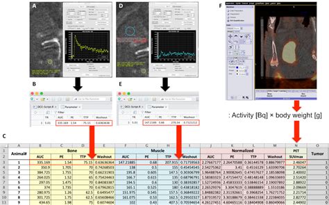 Machine Learning Algorithms For Early Detection Of Bone Metastases In An Experimental Rat Model