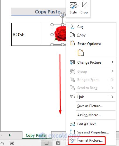 How To Insert Picture Into Excel Cell 3 Methods Exceldemy