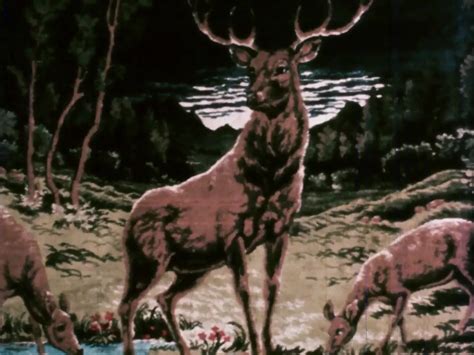 Free Private Sex Porn Videos Xhamster