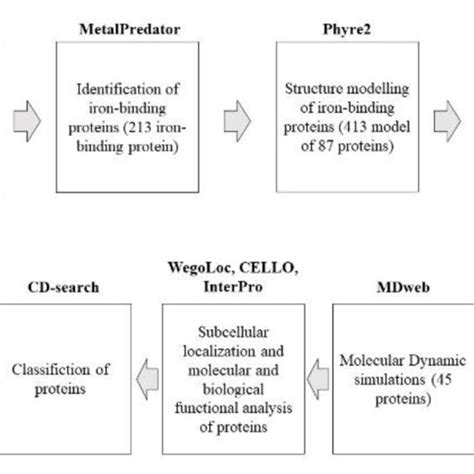 Schematic Demonstration Of The Analysis Workflow For Identifying And Download Scientific
