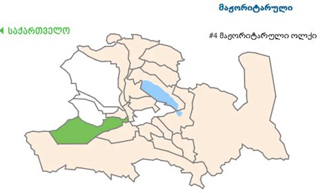 არჩევნების მეორე ტურის შედეგები [ინფოგრაფიკა] Netgazeti • 2016 წლის