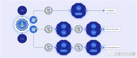cert manager 实现 k8s 服务域名证书自动化续签 知乎