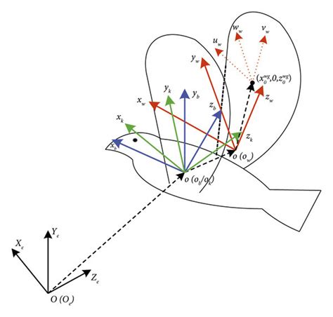 Flapping Wing Flight Coordinate System Definition Download