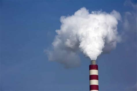 Human Penises Are Shrinking Because Of Pollution Warns Scientist