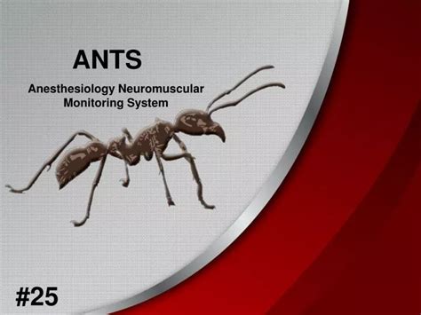PPT ANTS PowerPoint Presentation Free Download ID