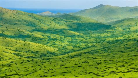 Eritrea Sacred Natural Sites And Biodiversity