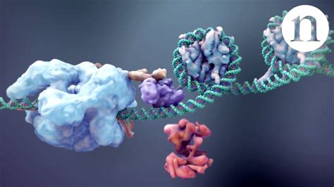 CRISPR Gene Editing And Beyond YouTube