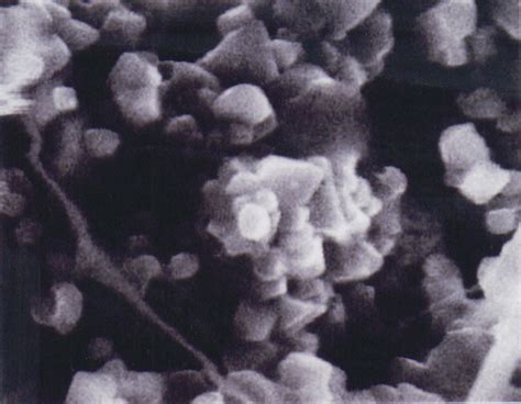 Scanning Electron Micrograph For Sample X 0 6 Download Scientific Diagram