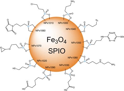 Potm Functionalized Superparamagnetic Iron Oxide Nanoparticles