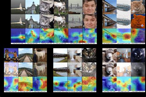 Gradcam Visualization On Unseen Semantic Test Images Showing The Visual Download Scientific
