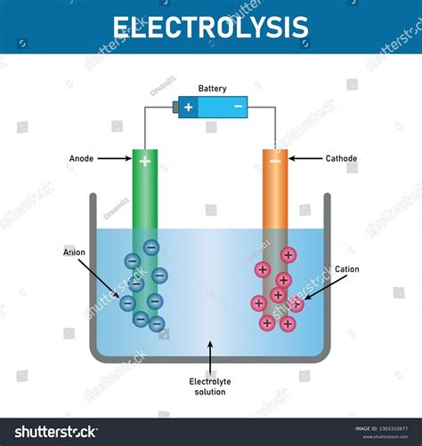 Electrolyte Diagram