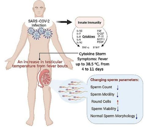 Can Body Temperature Rise From Stress At Brenda Gilland Blog