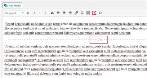 How To Add The Read More Tag In WordPress Qode Interactive