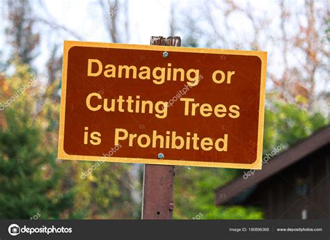 A Damaging Or Cutting Trees Is Prohibited Sign Stock Photo By Akchamczuk